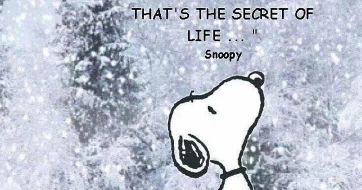 Inspiration by LeeAnne Locken: Snoopy's Approach to Life!