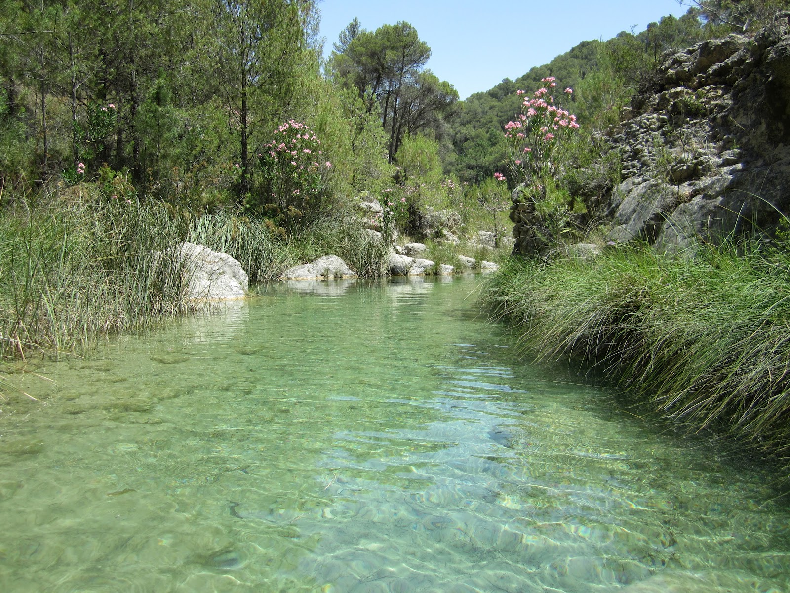 ArwenEyes: Rio Fraile (Bicorp)