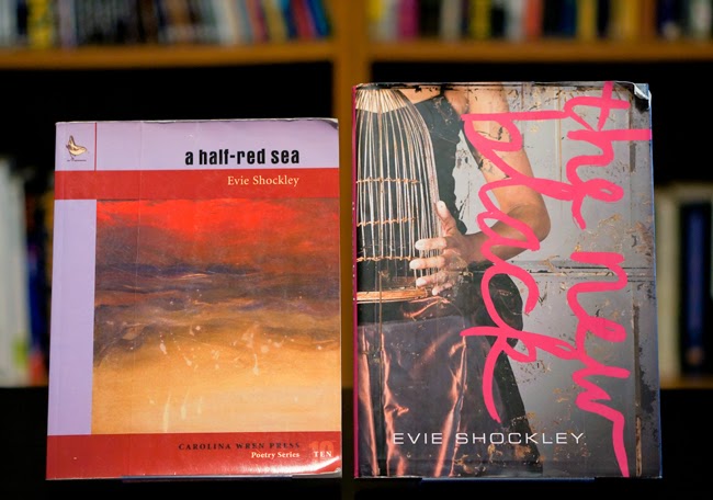 Cultural Front: The Size & Shape of Evie Shockley's books