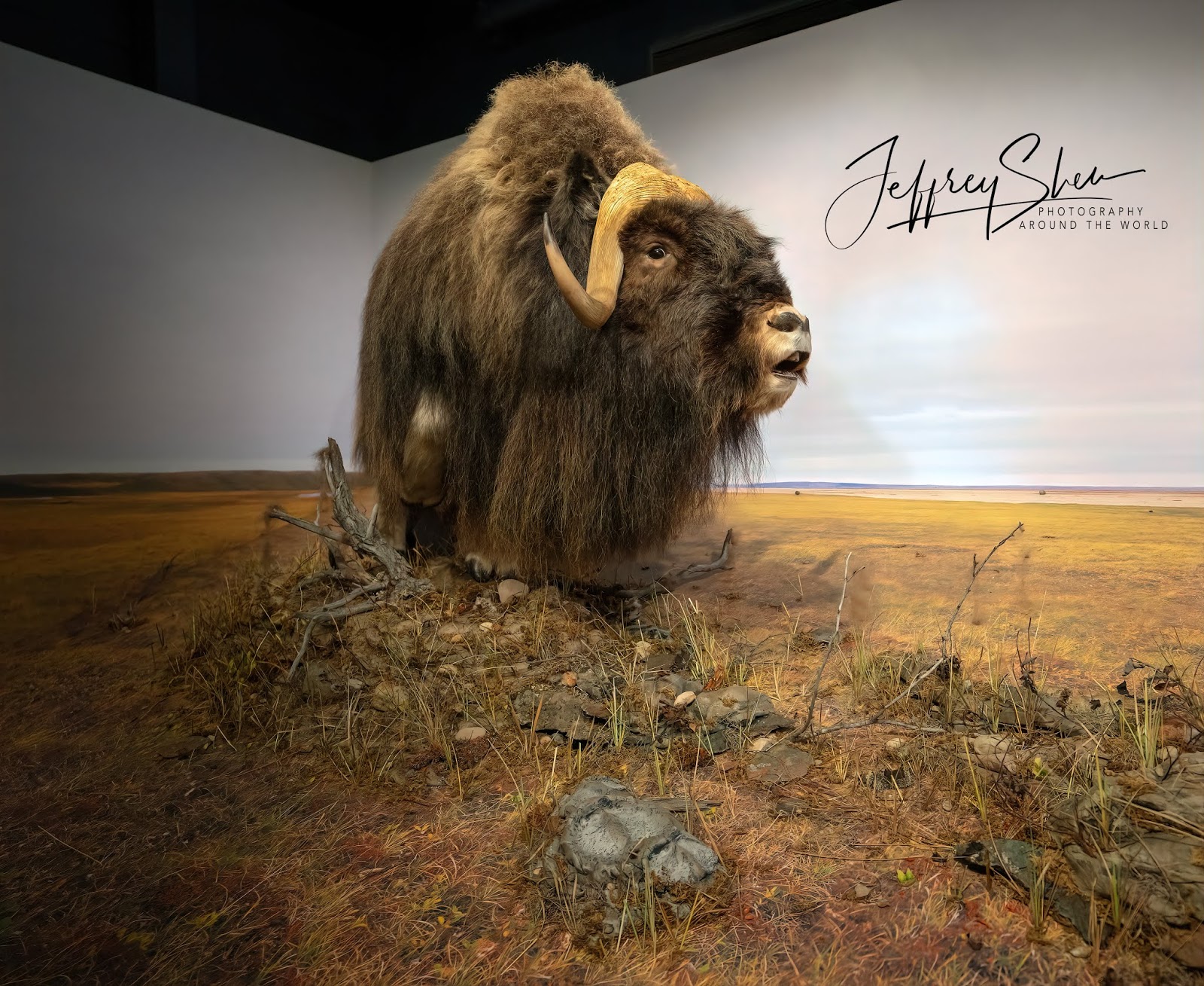 Around The World: Aurora in Yellowknife