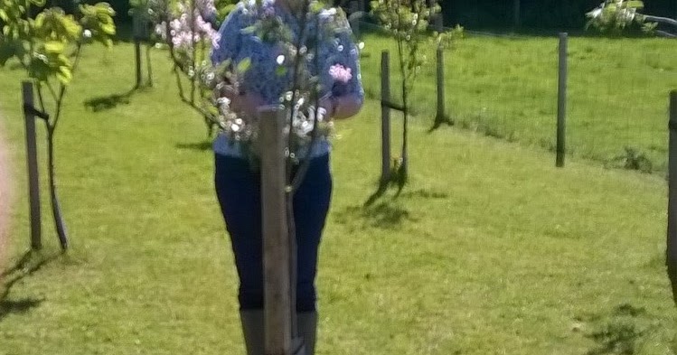 Our New Life in the Country: Help ... No Cabbage!!