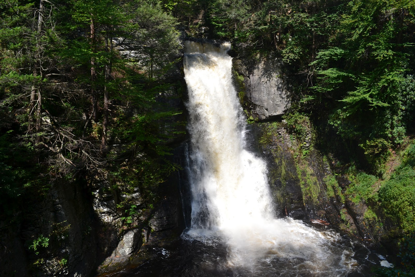 Nanda & Nathan The Travellers: Bushkill Falls -- The Niagara of ...