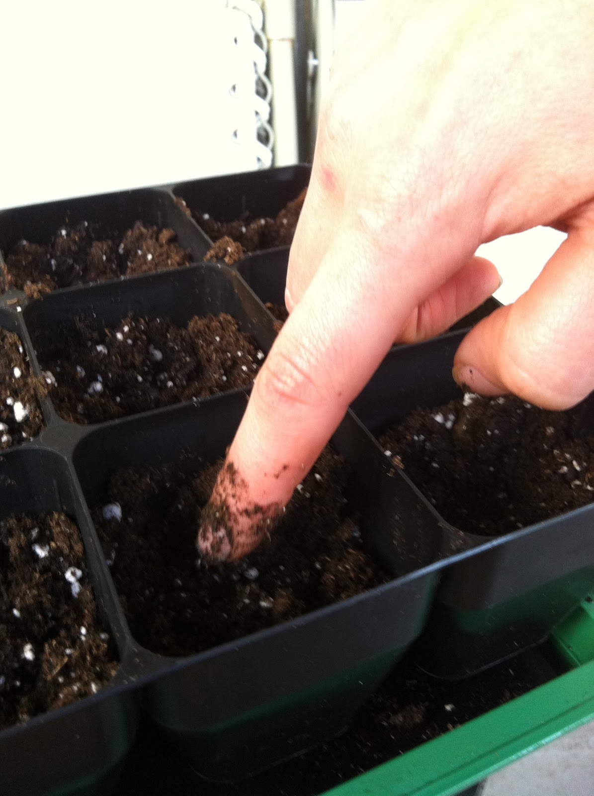 We are digging in the dirt!: Deep Root Seed Starting System