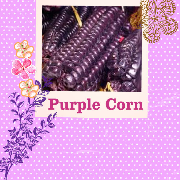 USHA'S KITCHEN: Purple corn is a