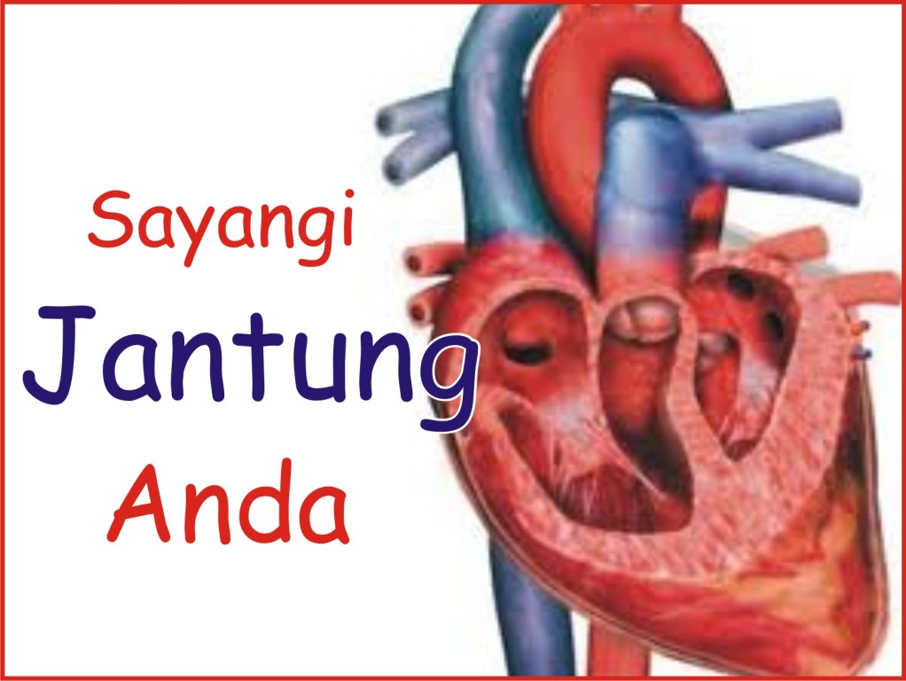 Blog Cerita Kesihatan: Panduan Memasak Cara Sihat Untuk Kesihatan Jantung