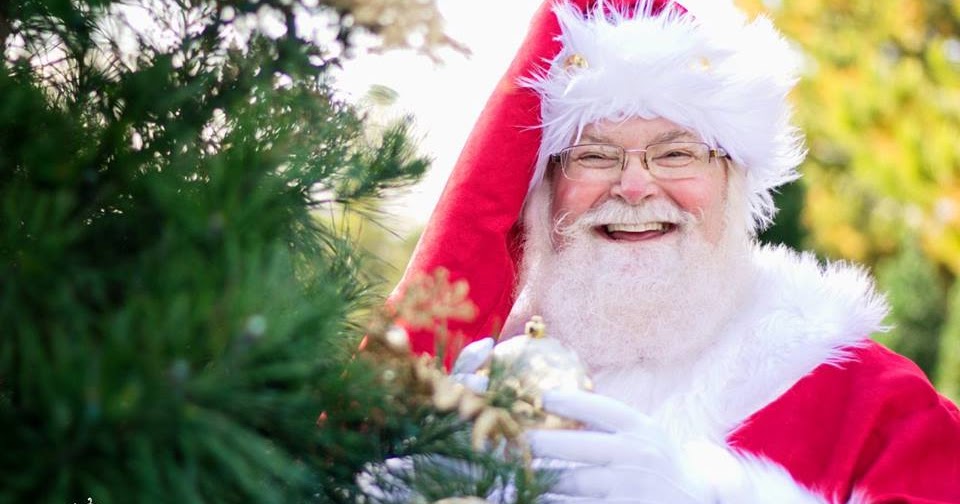 Revival Antiques and Remodeling