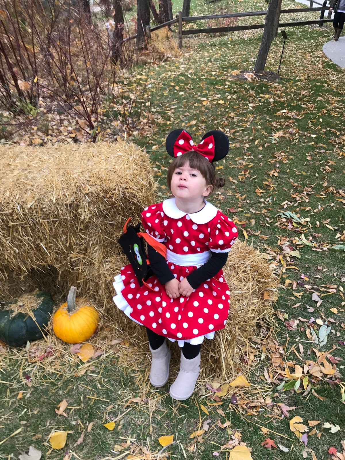 Our House in the Middle of Our Street: Minnie Mouse Costume
