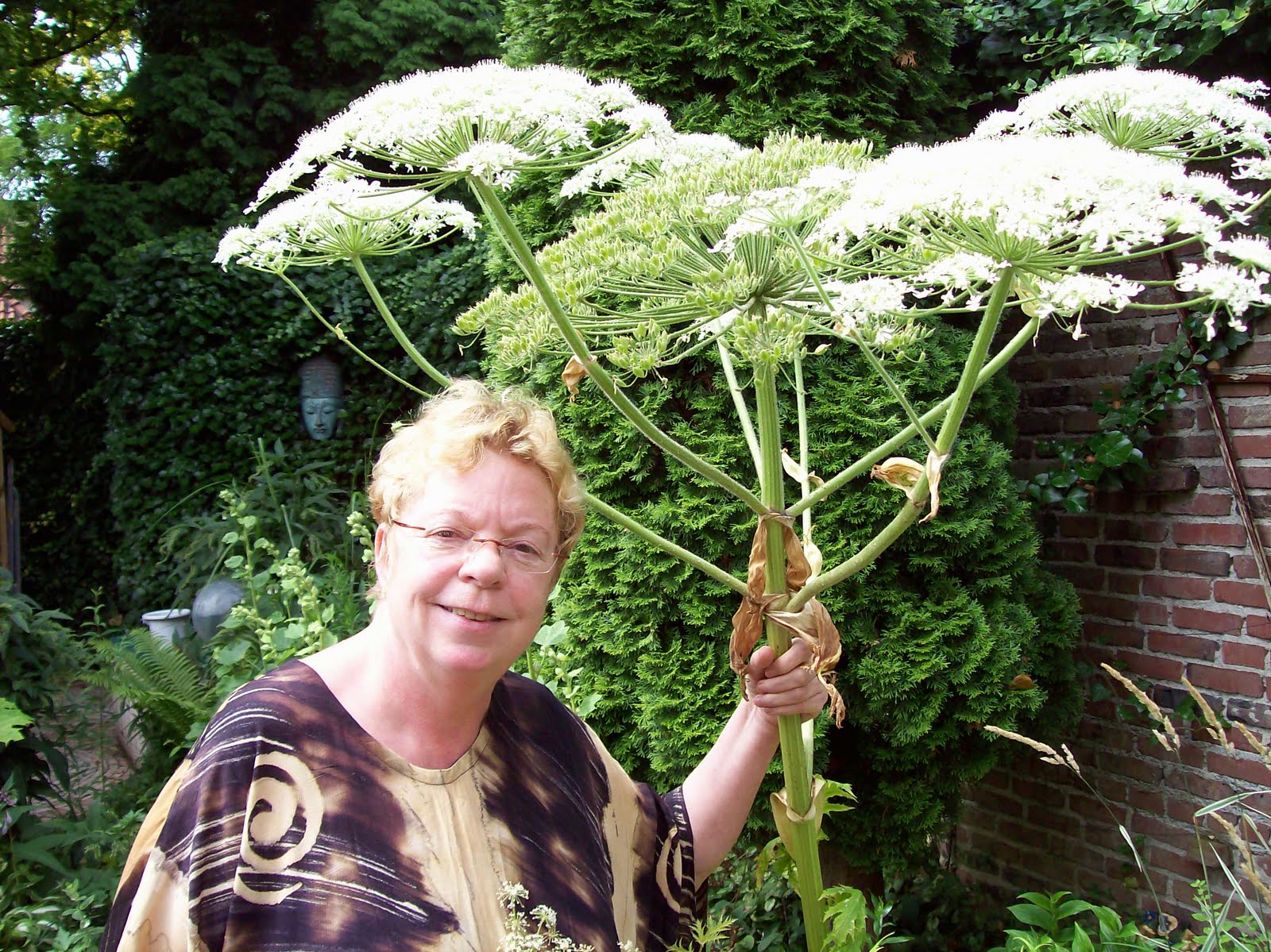 rondom BLOKHUUS: In de tuin 2009-2010 bereklauw