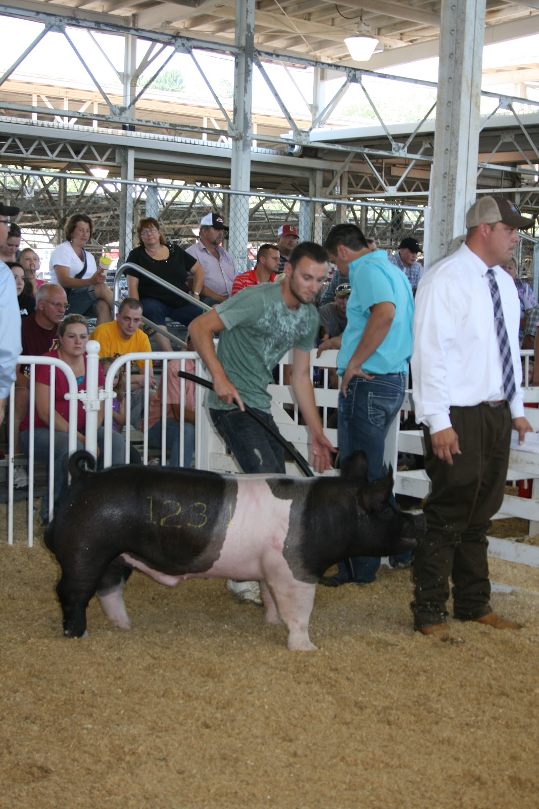 NSR Show & Sale Results: World Pork Expo Crossbred Sale Results