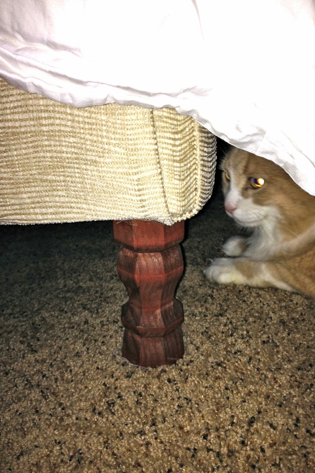 DIY Why Spend More: DIY upholstered box spring