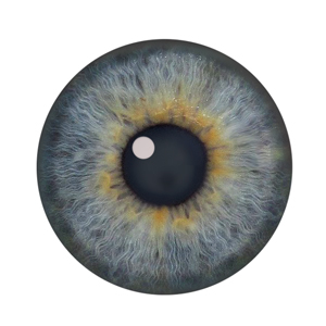 Jeff Searle: Drawing the eye