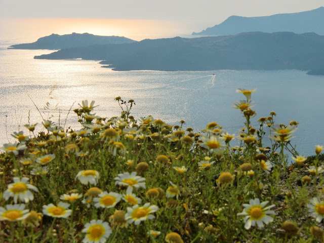 The passion of colors: Photos from Spring in Greece!
