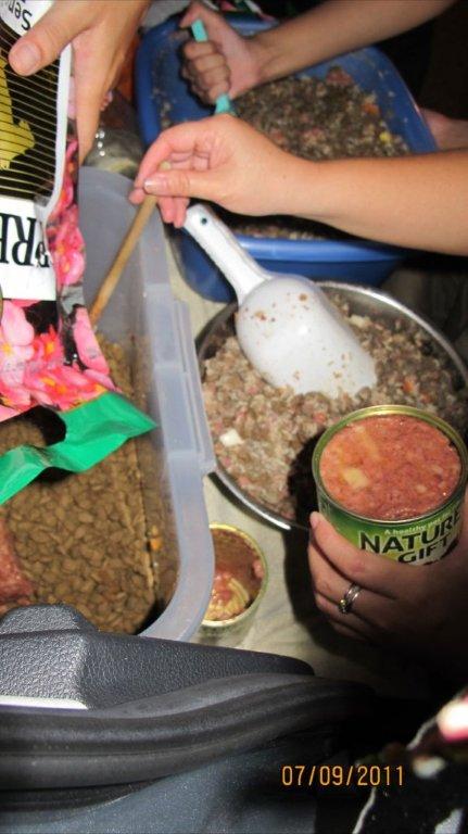 HOPE Dog Rescue: Food For Hope (On-Going Project)