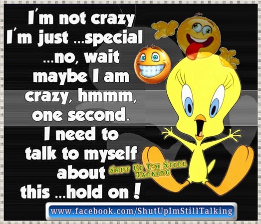 I m Not Crazy One Second I Need To Talk To Myself i-m-not-crazy-one-second-i-need-to-talk-to-myself