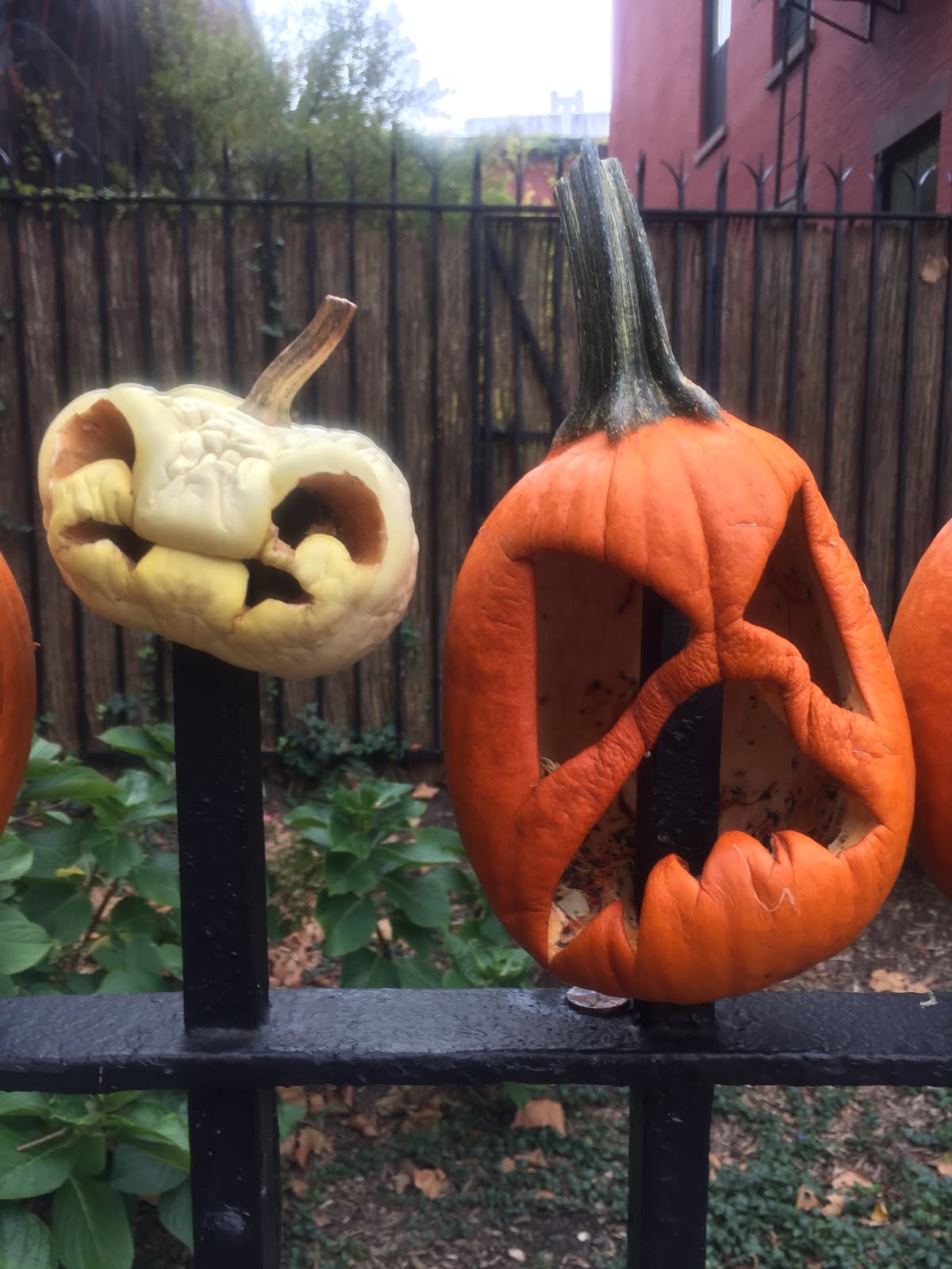 SIGHT: The pumpkin ghouls of Cobble Hill - City Lore