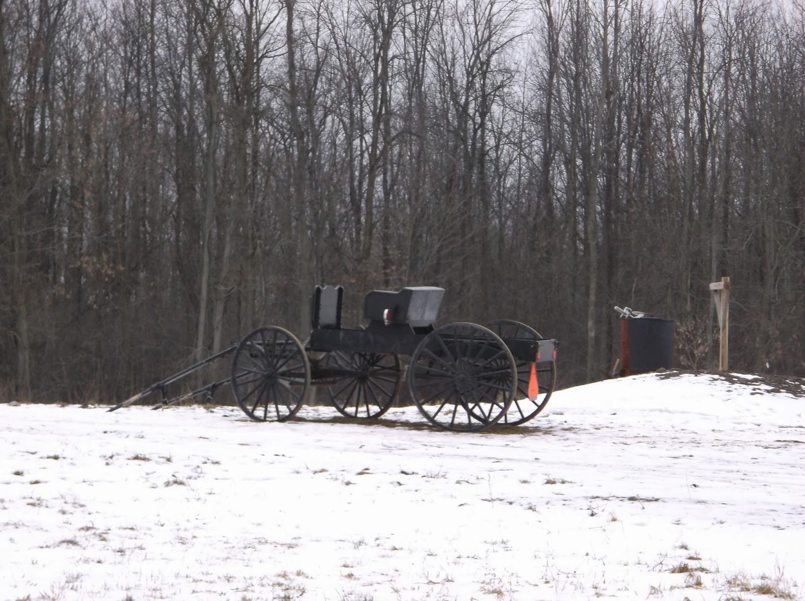 New York State of Mind: SWISS-GERMAN AMISH FARM IN GALEN, NY
