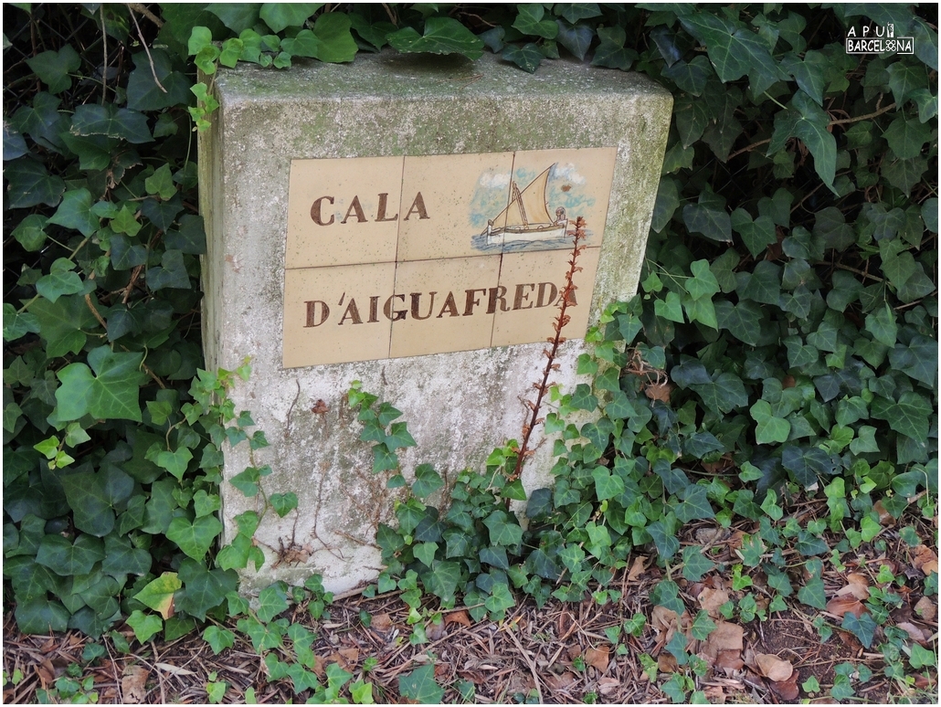 APU Barcelona VeoDigital : El mágico Camino de Ronda en la Costa Brava.