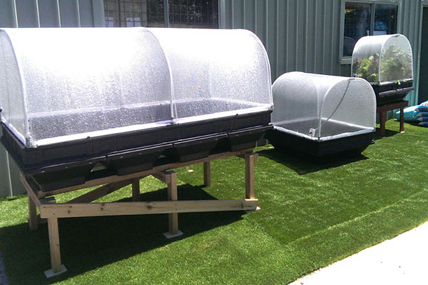 Going Grey and Slightly Green: Have you heard of a Vegepod?