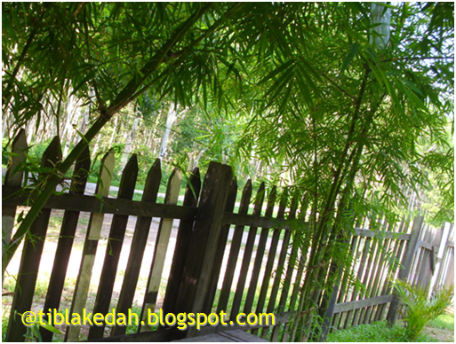 TERATAK IMPIAN BUKIT LALA: Disember 2012