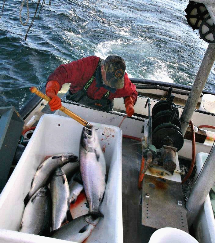 Sandra's Alaska Photography: Late-August 2012: Commercial Fishing ...