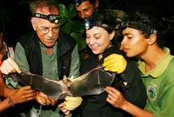 Paso Pacifico Blog: Conservation in Action: Nicaragua's Spectral Bat