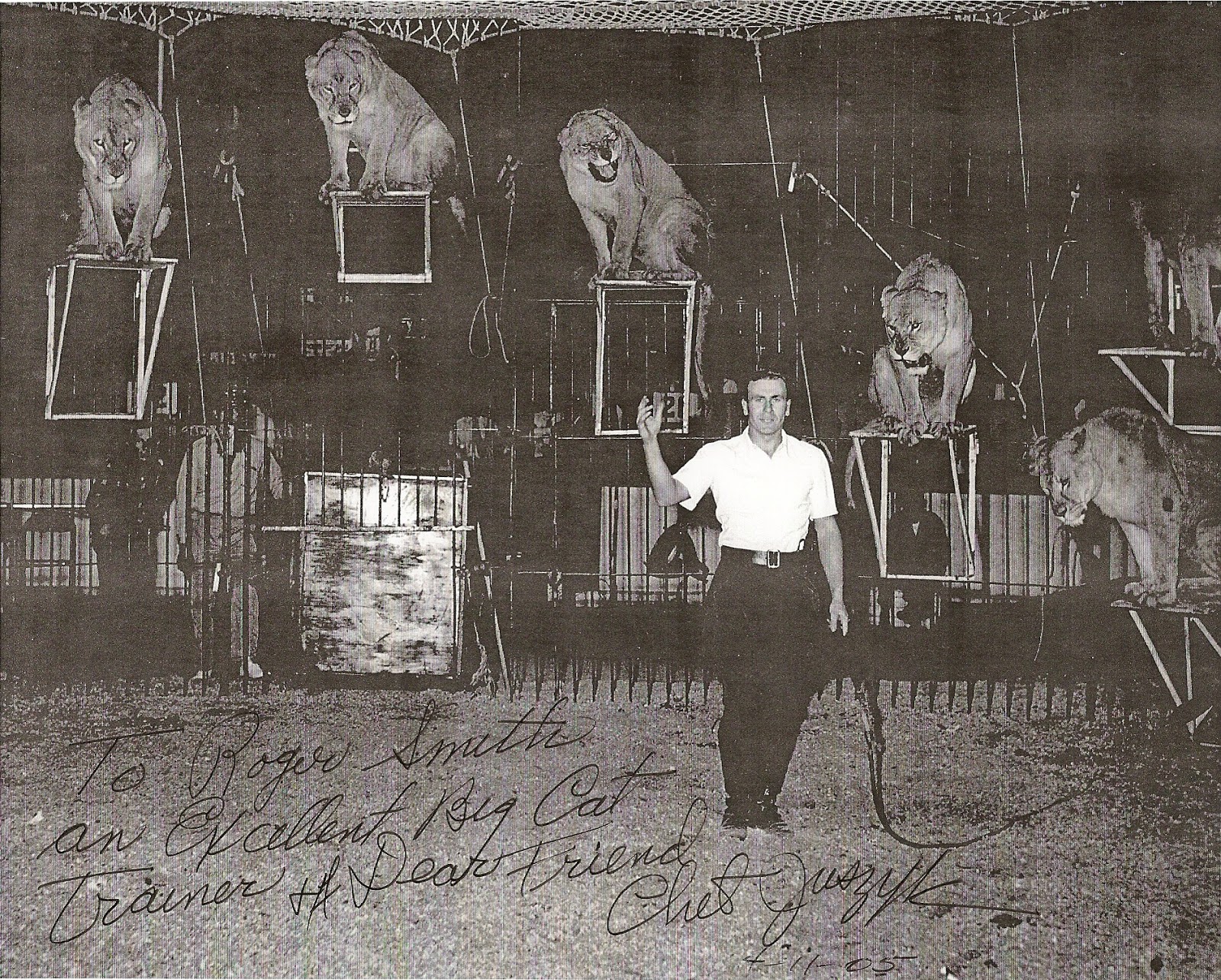 Buckles Blog: #11 Steel Arena