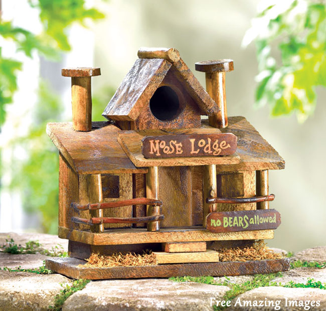 Free Amazing Images: 26 Best And Most Creative Bird House Designs