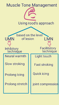 Management For Muscle Tone - PHYSIO STUDY