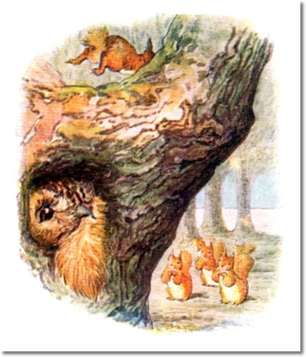 The Correspondence of Squirrel Nutkin ~ all things bonnyand beautiful