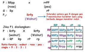 Arti atavisme dalam Biologi