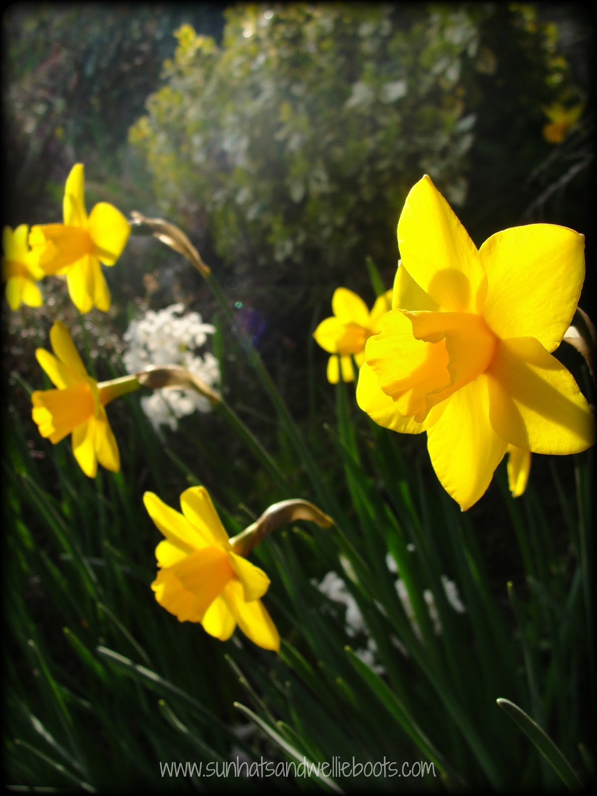 Sun Hats & Wellie Boots: 50 Outdoor Activities for Kids this Spring!