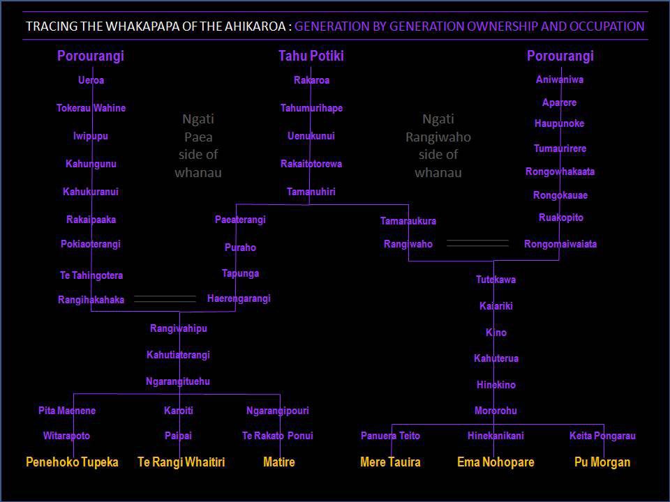 WARREN POHATU CREATIVE: AHI KA ROA O TAMANUHIRI
