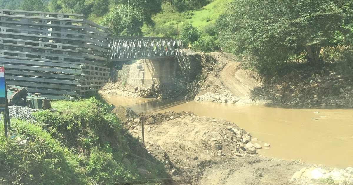 Allison Wonderland: Goings and Comings