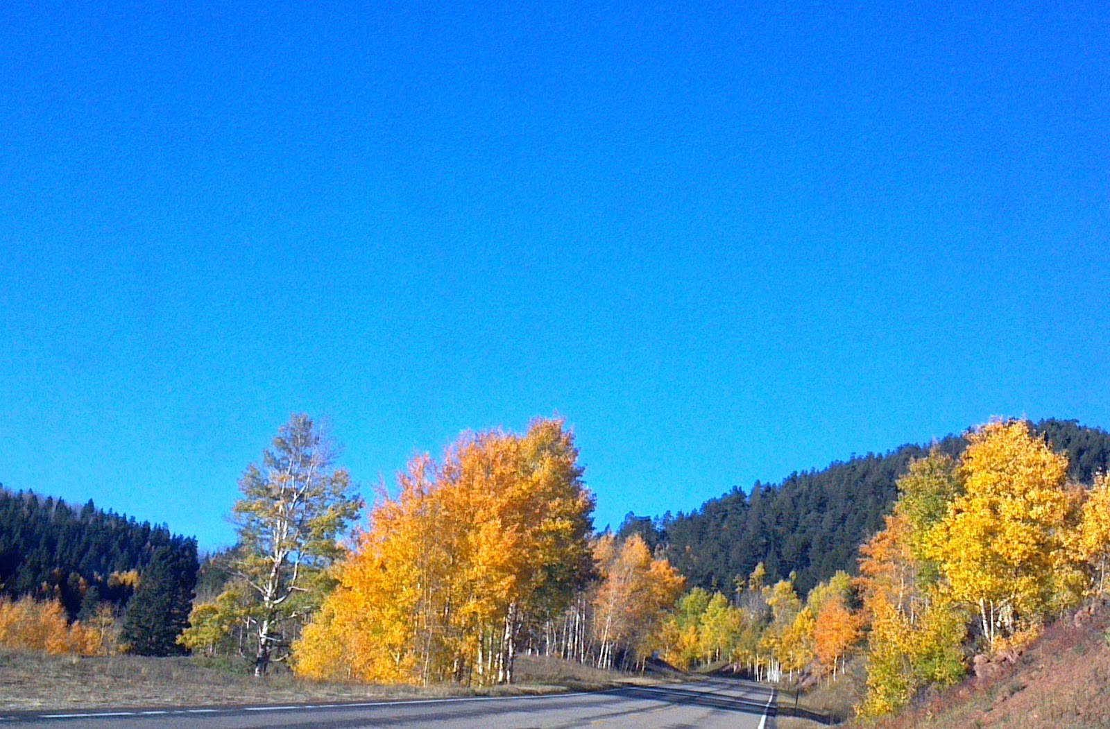 San Isabel Fall 2012 Photo Tour (Aspen, Colorado City: homes, live ...