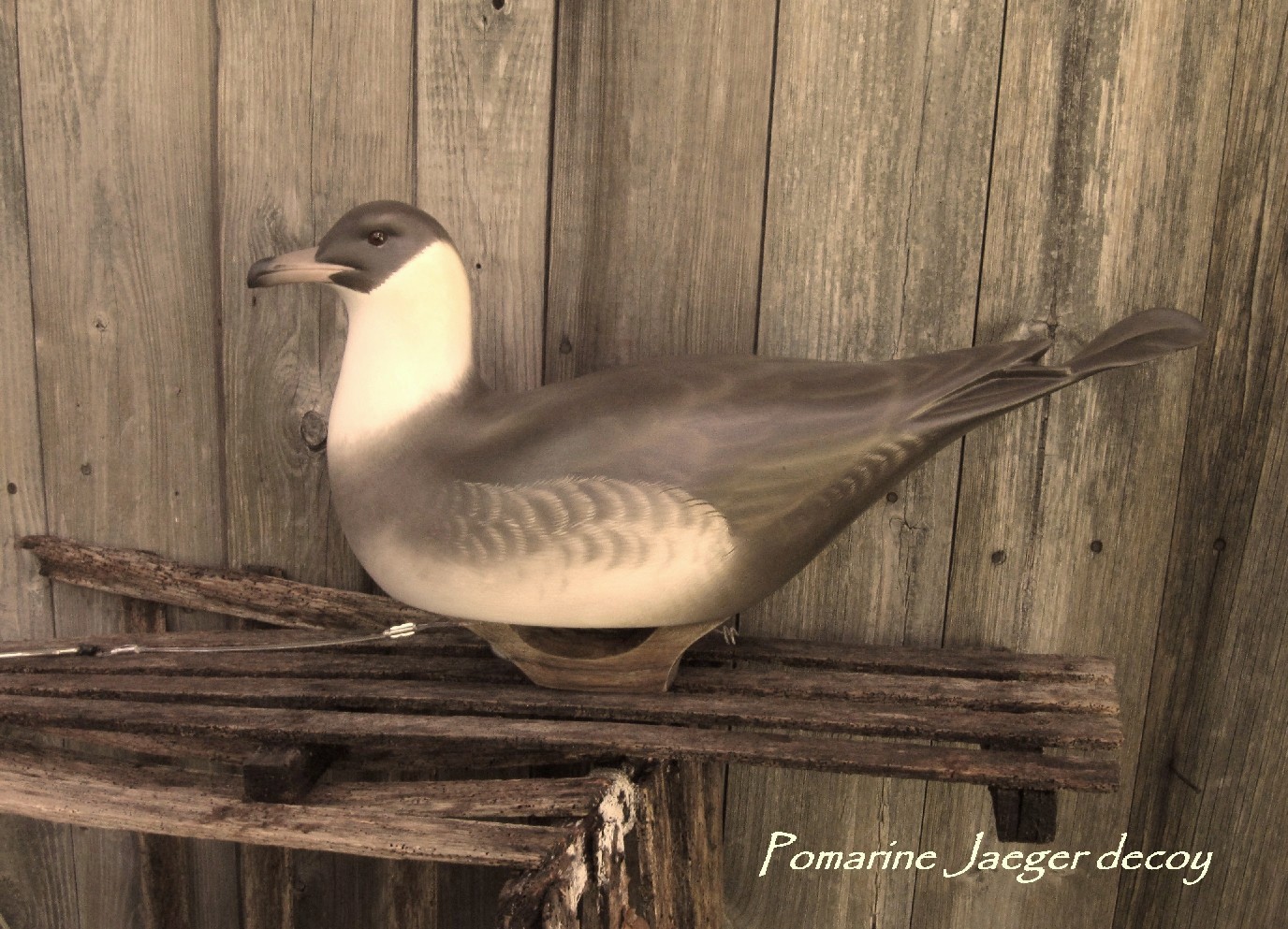 Keith Mueller Bird Carvings: Sea Bird Decoys 1 (Test)