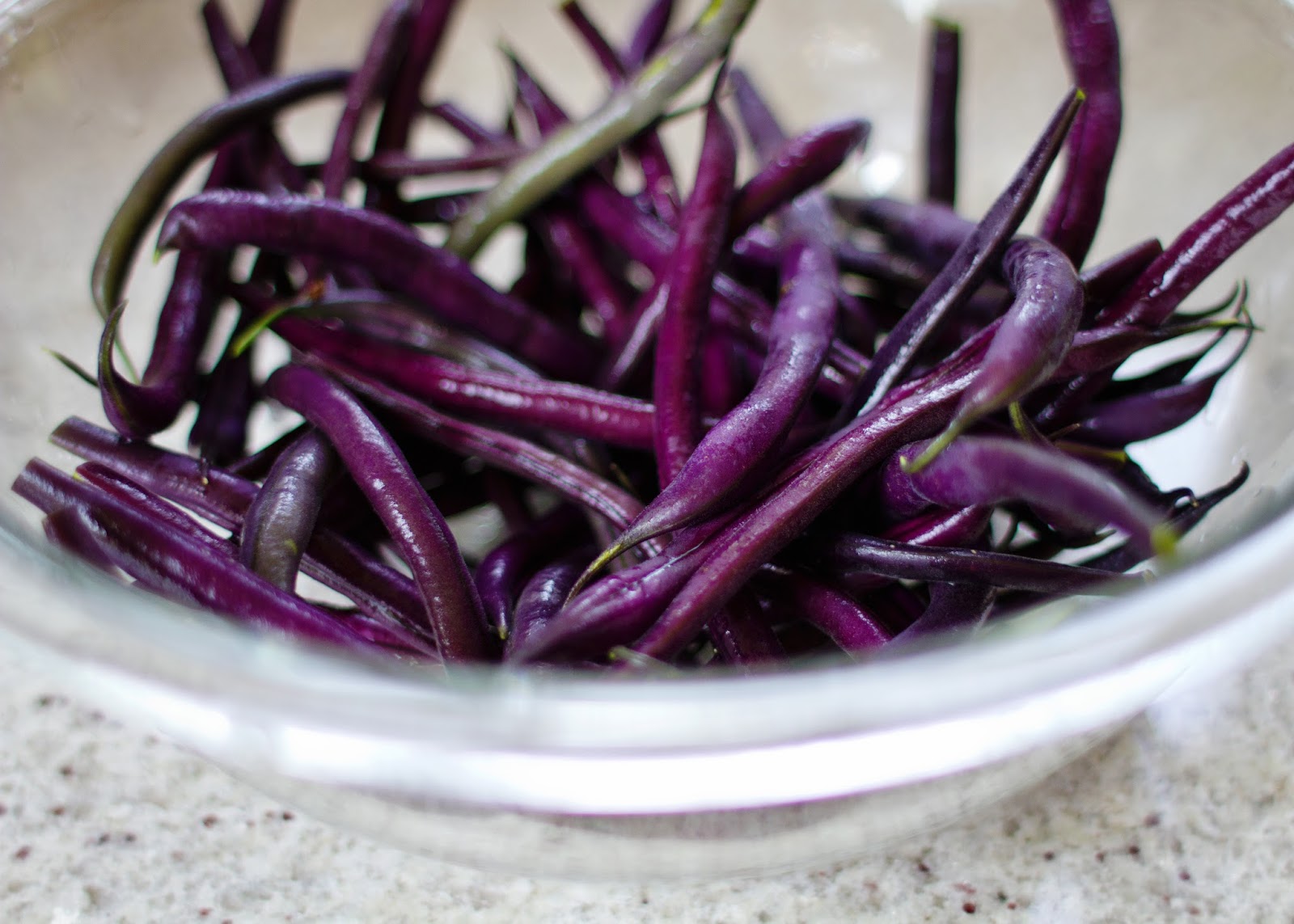 The Cheese Party: Magic Beans and Gardening with Kids