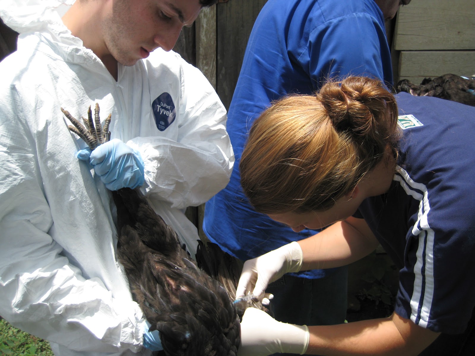 ISIS Belize Summer 2012