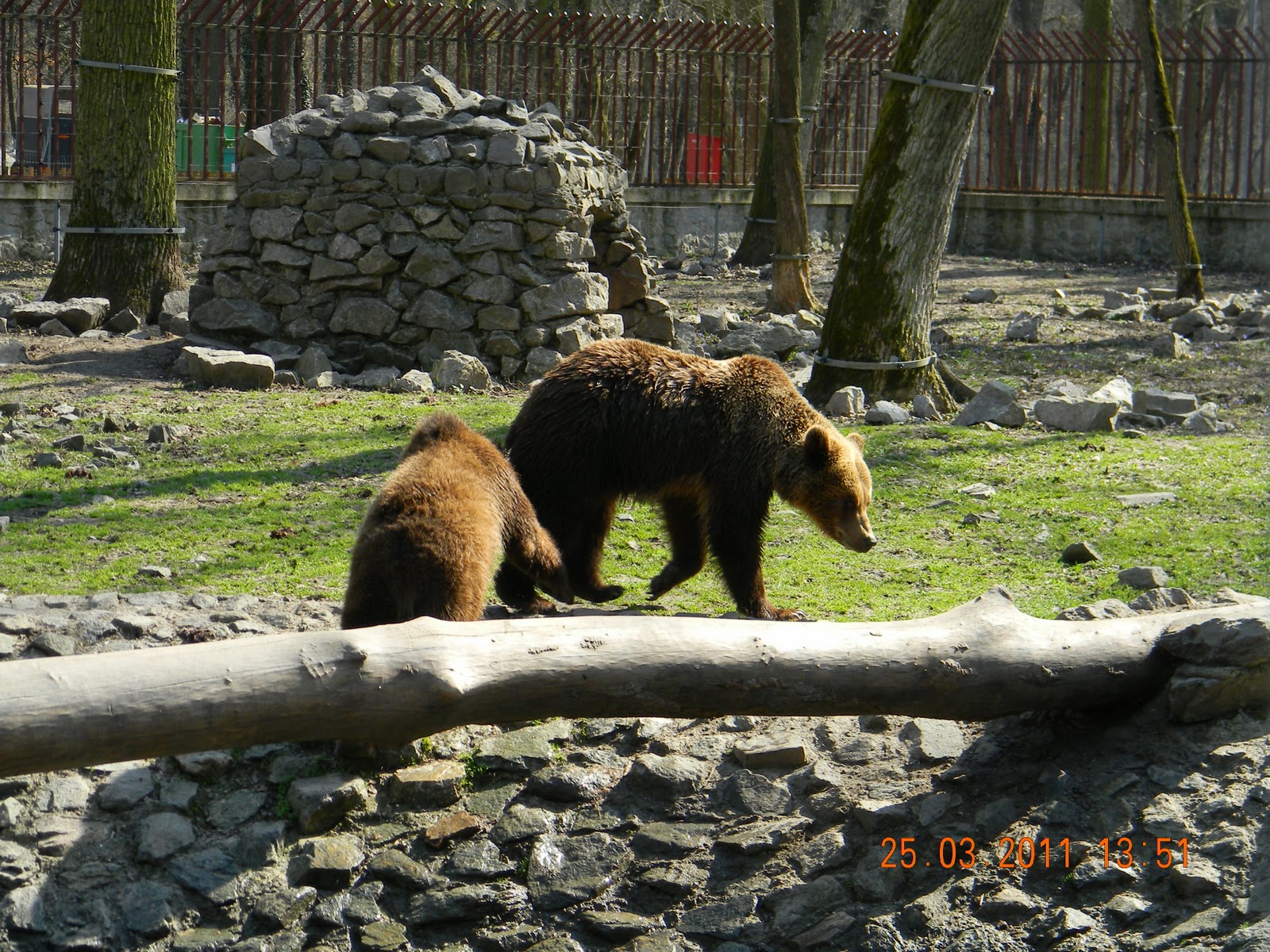 Trip-ideas: Gradina Zoologica din Timisoara