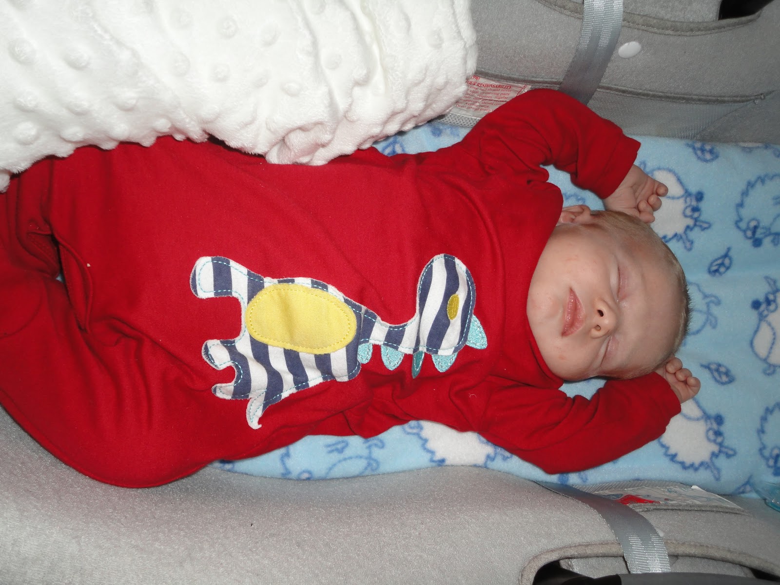 SamBachNi: Terry Nappies