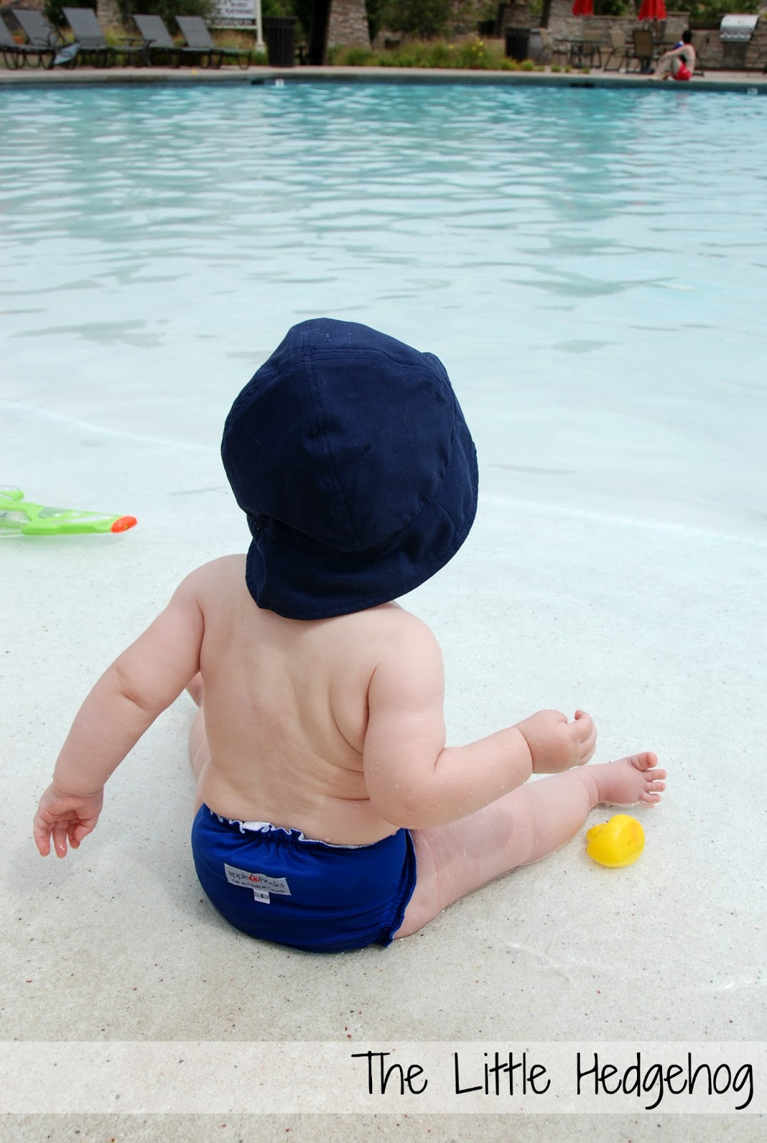 the little hedgehog: The Ultimate Swim Diaper! AppleCheeks Swim Diaper ...