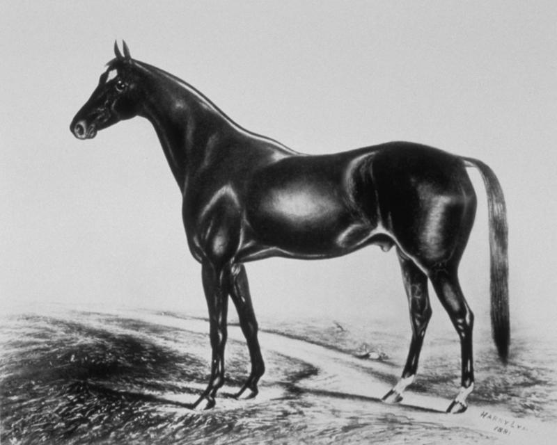 The Whydah Pirates Speak: Horse Racing in 1700