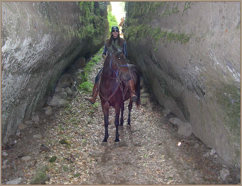 50 Years In Italy: Mysterious Etruscan Itinerary with artist Monica ...