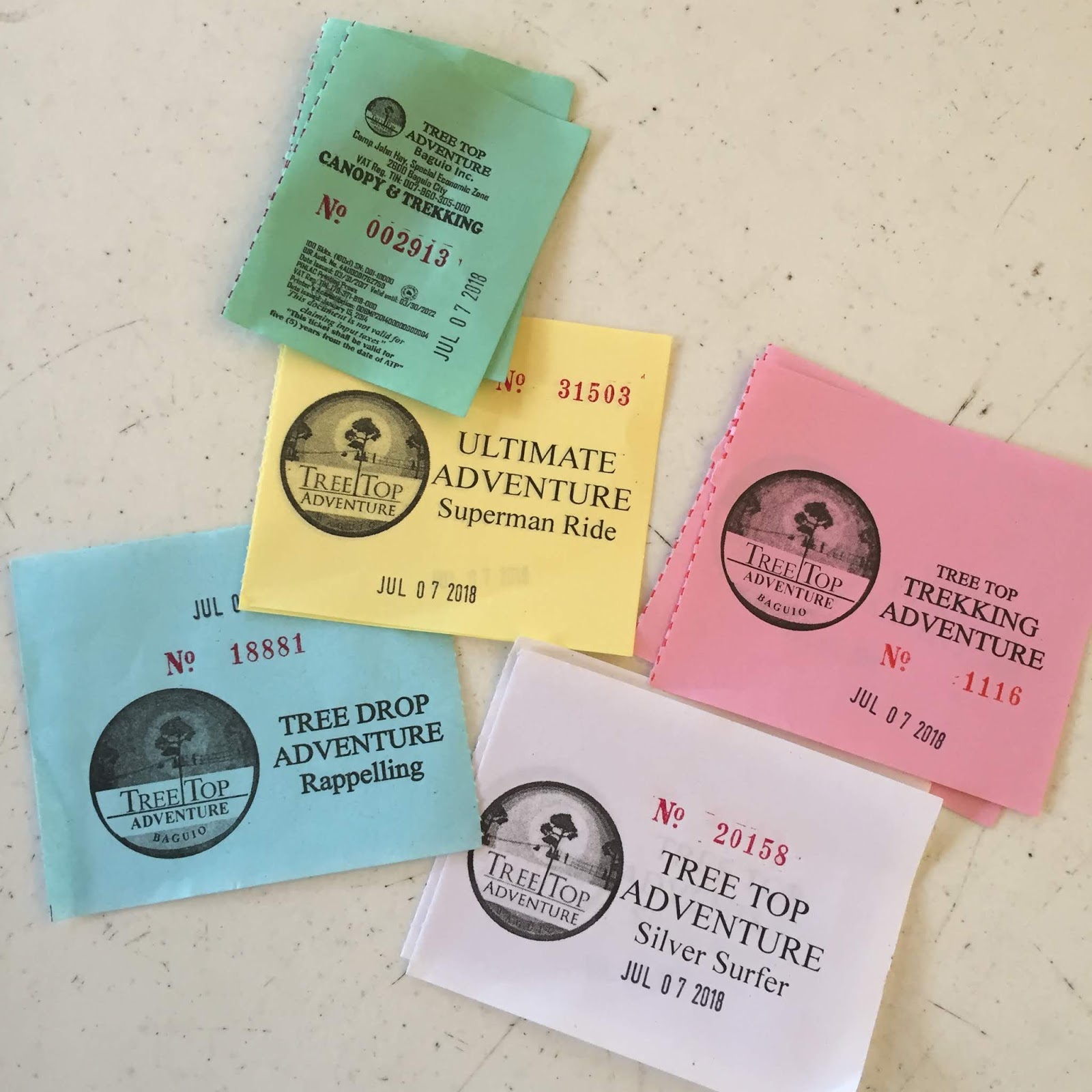 Look: Doing the 60 Foot Tree Drop at Tree Top Adventure Baguio and More ...