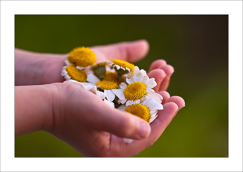 Entra y mira...: Manos llenas de amor...