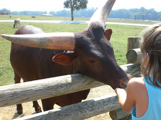 Travel NC With Kids: Lazy 5 Ranch in Mooresville, NC Offers a Ride ...