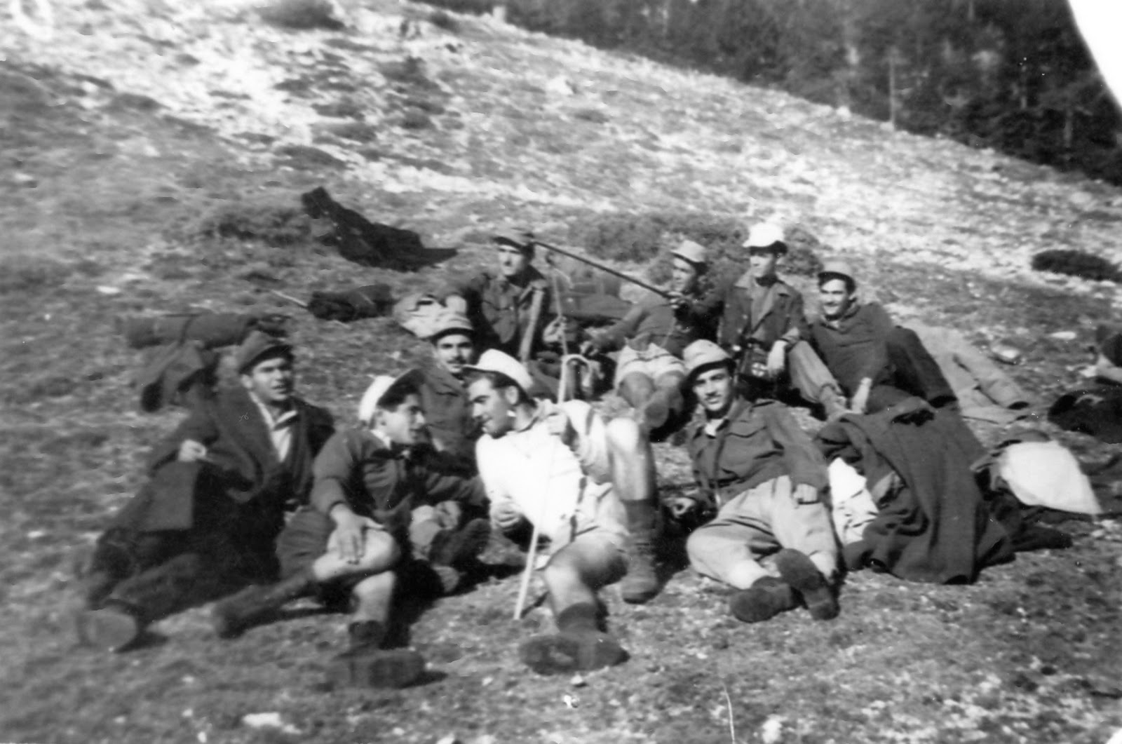 ΑΜΦΙΚΛΕΙΑ ΔΑΔΙ: παρνασσος