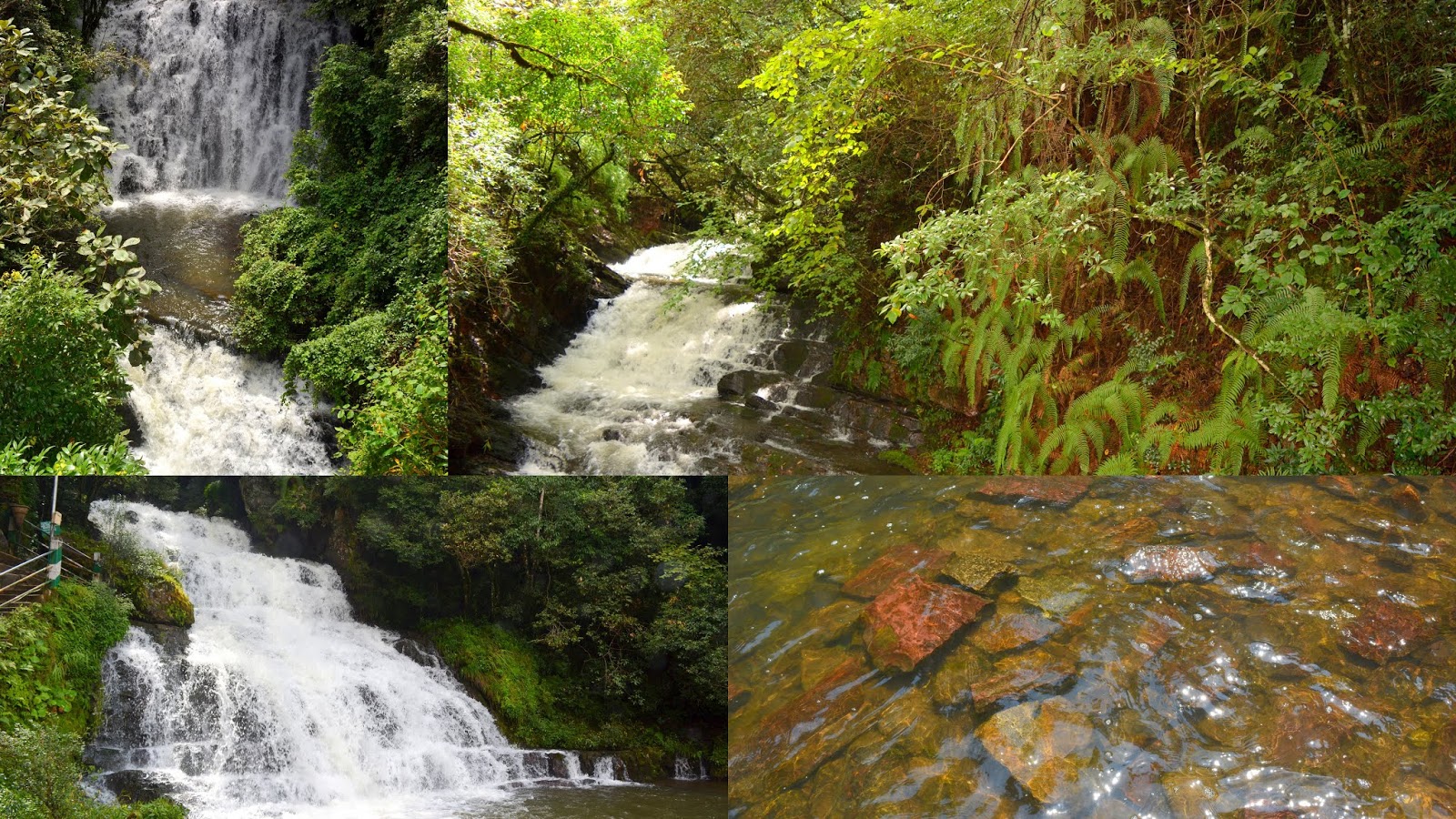 Shillong, Meghalaya : Places to Visit and Things to Do