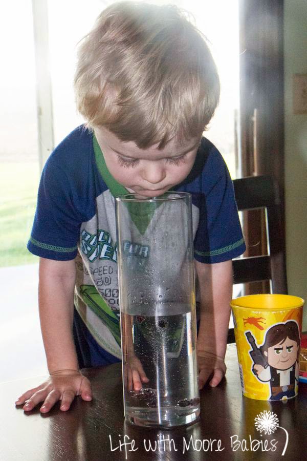 Make Blueberries Dance with this Simple Science - Life with Moore Babies