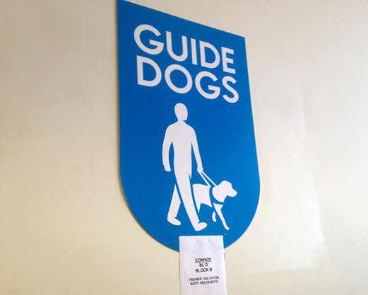 Gleamed Adding the Sparkle to Illustration: Skillstep Weeks 10 & 11 ...