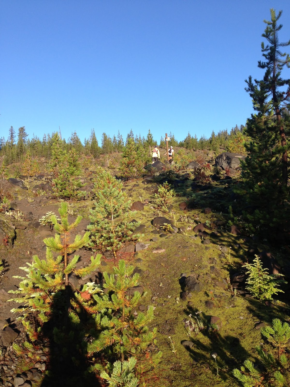 The Active Joe: 2013 Volcanic 50 Race Report - I Did Something that ...